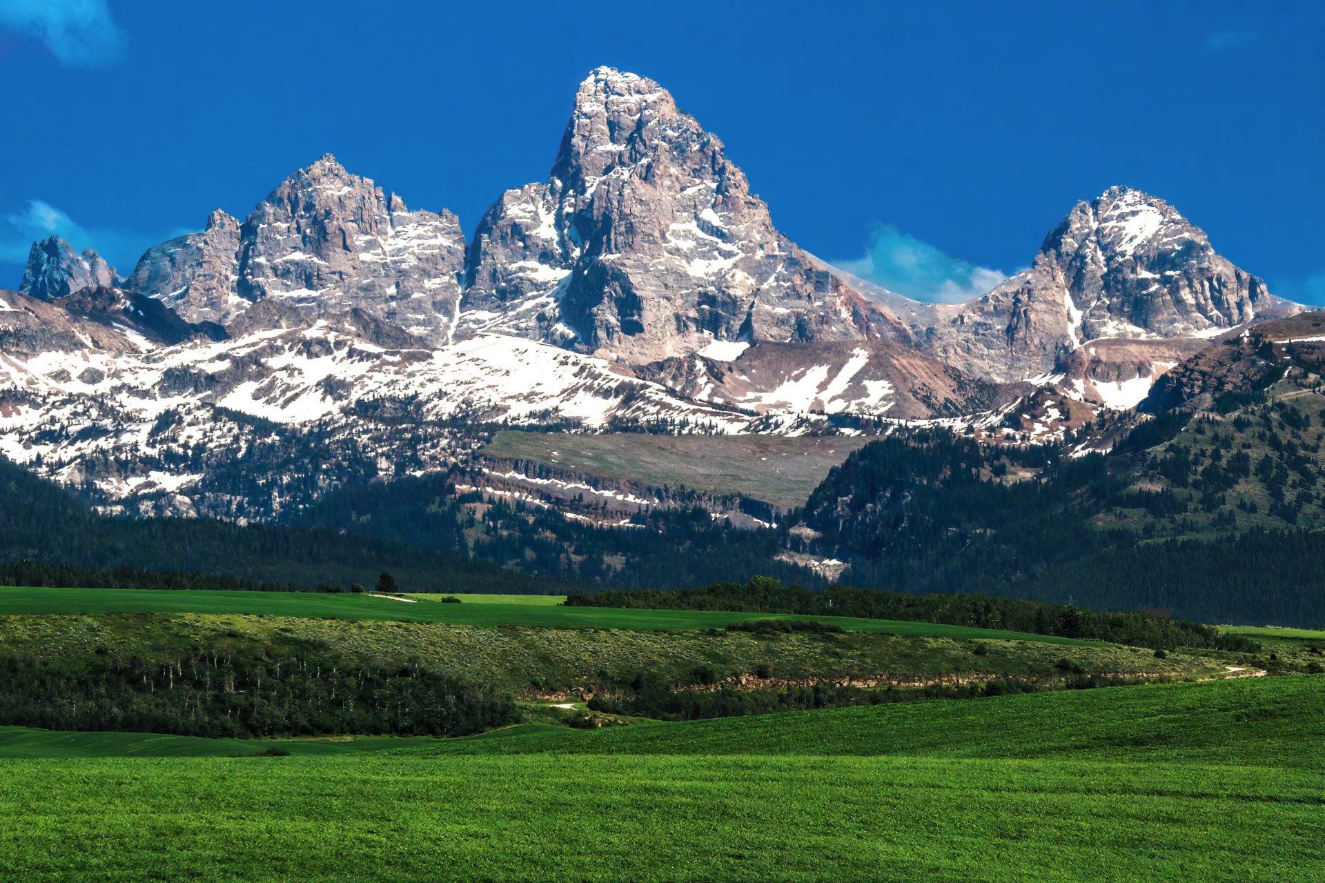 Rasmussen-Wilson Funeral Home Obituary for Charles Warren Nicklow