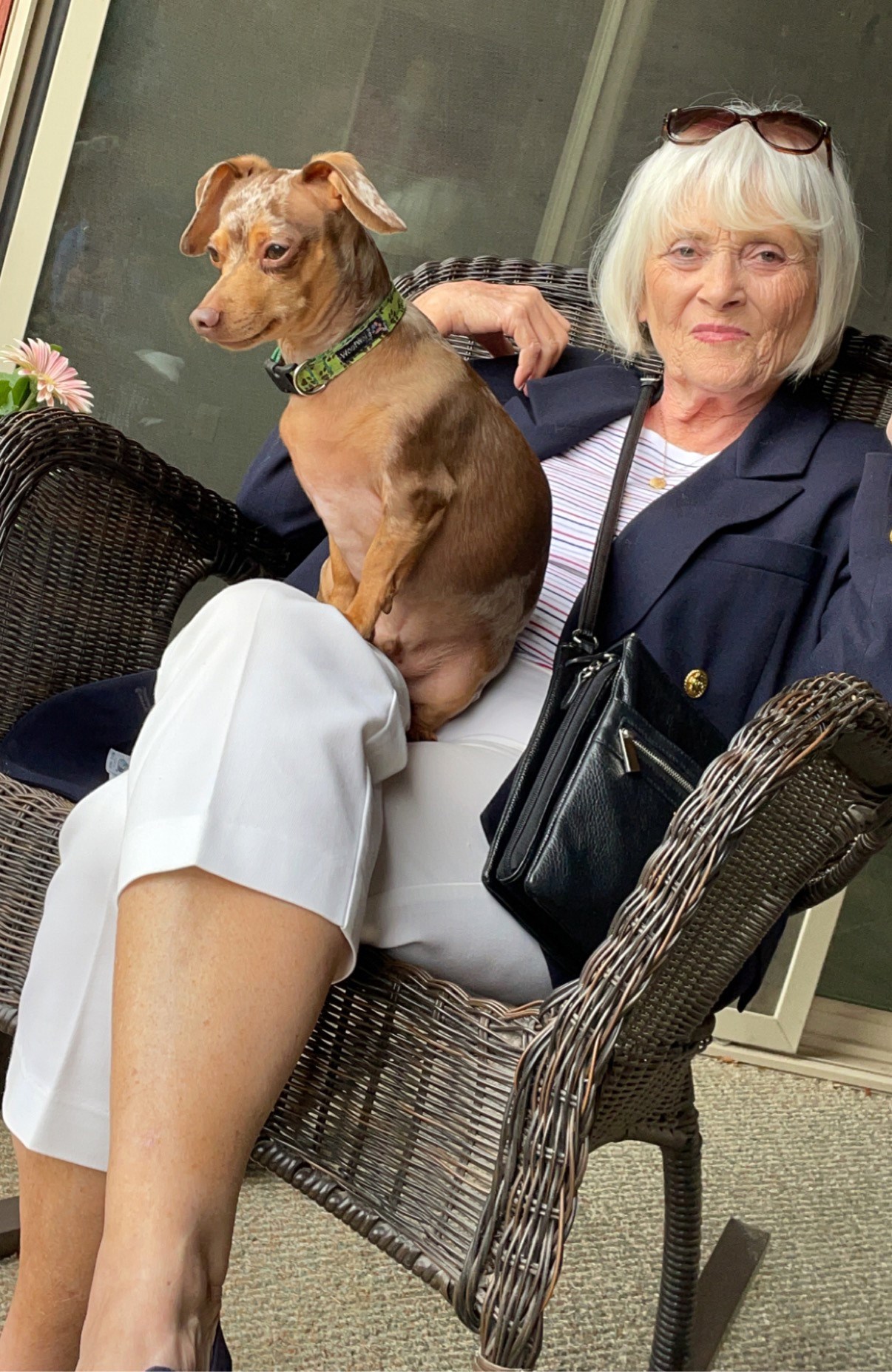 Rasmussen-Wilson Funeral Home Obituary for Janine "Jan" Smith Halstead